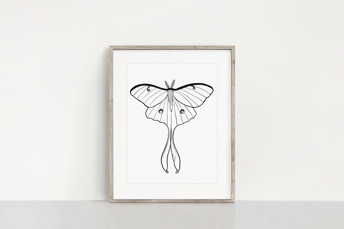 Luna Moth Line Artwork, Digital Download JPEG, PNG, SVG - Etsy