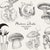 Hand Drawn Mystical Mushroom Clipart, Mushroom Doodle Digital Download ...