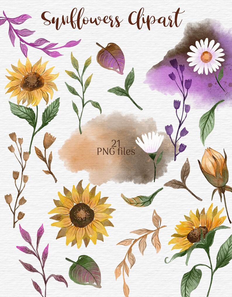 Watercolor Sunflowers Clipart, Floral Graphics (instant Download PNG ...