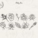 Hand Drawn Roses Clipart, Flowers Doodle Clipart, 10 Png Files, INSTANT ...