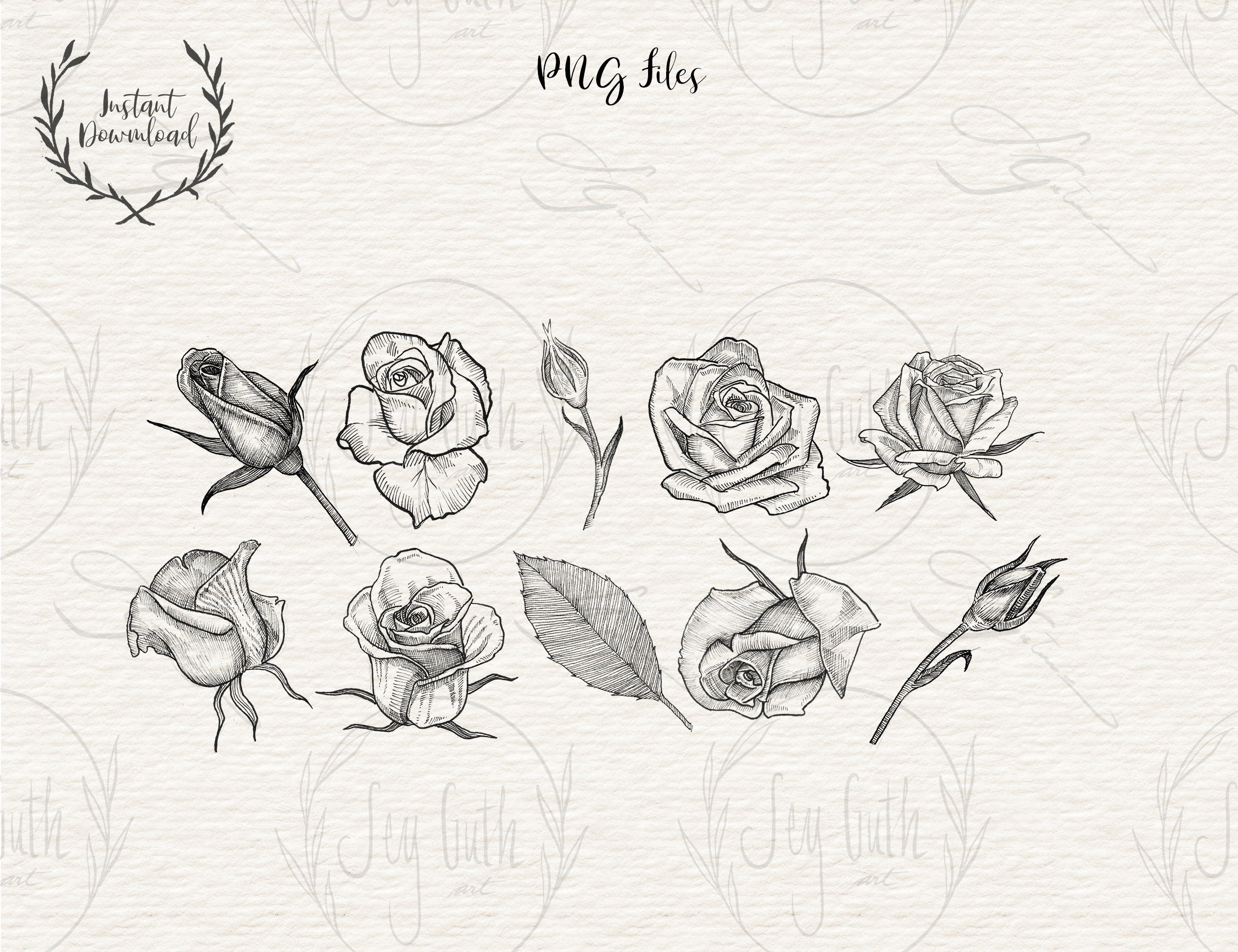 Hand Drawn Roses Clipart, Flowers Doodle Clipart, 10 Png Files, INSTANT ...
