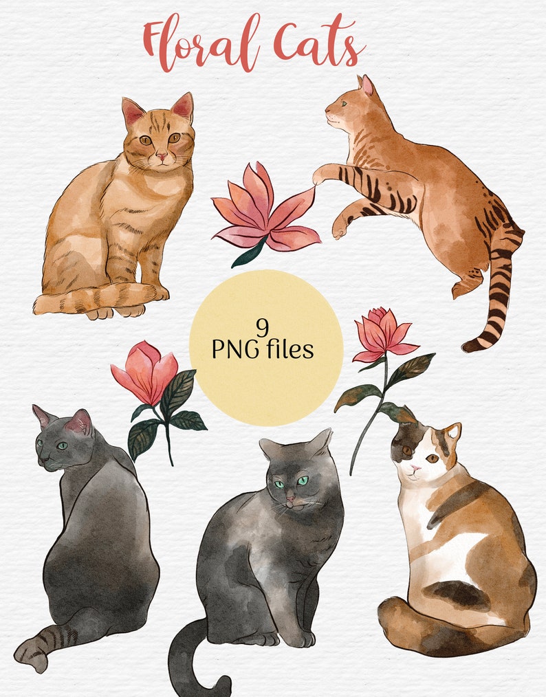 Floral Cat Clipart, Cats Digital Download, 9 Png Files, INSTANT ...