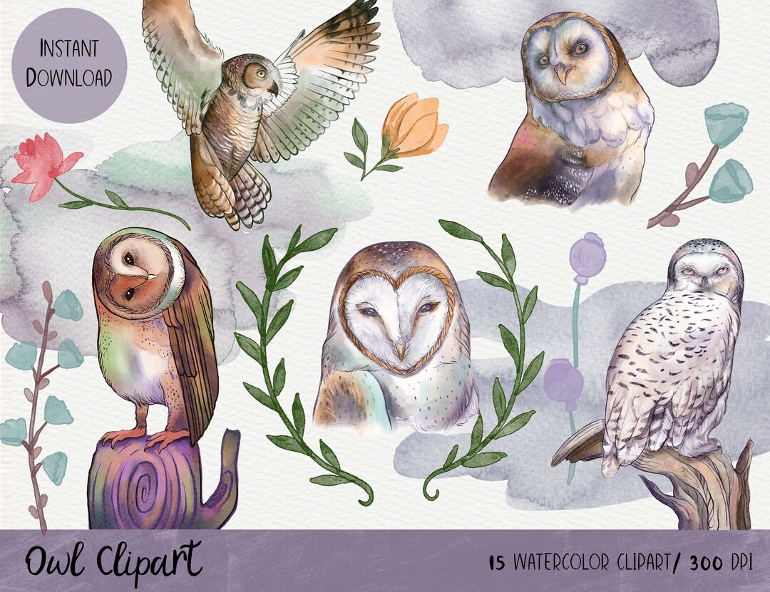 Watercolor Owl Clipart, Digital Download Printable Owl, Watercolor ...