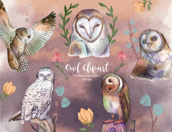 Watercolor Owl Clipart Digital Download Printable Owl - Etsy