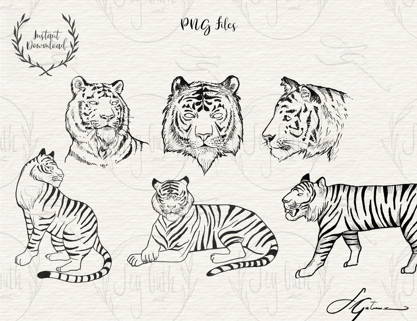 Hand Drawn Tiger Doodle Clipart, 6 Png Files, INSTANT DOWNLOAD - Etsy