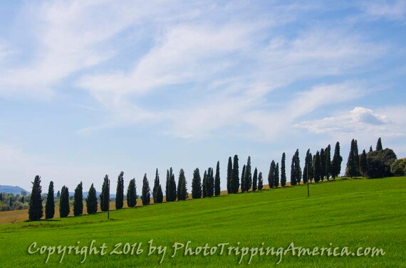 Symmetry in Val D'orcia Line of Cypress Trees Tuscany | Etsy