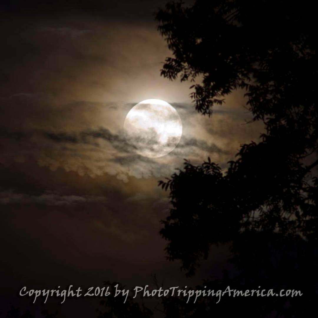 Full Moon Spook, Full Moon, Blood Moon, Silhouette, Spooky Moon ...