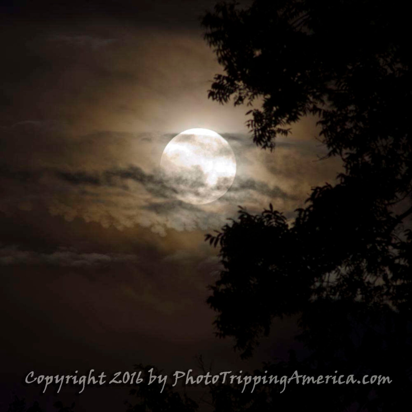 Full Moon Spook, Full Moon, Blood Moon, Silhouette, Spooky Moon ...