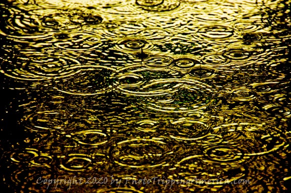 Rain Ripples