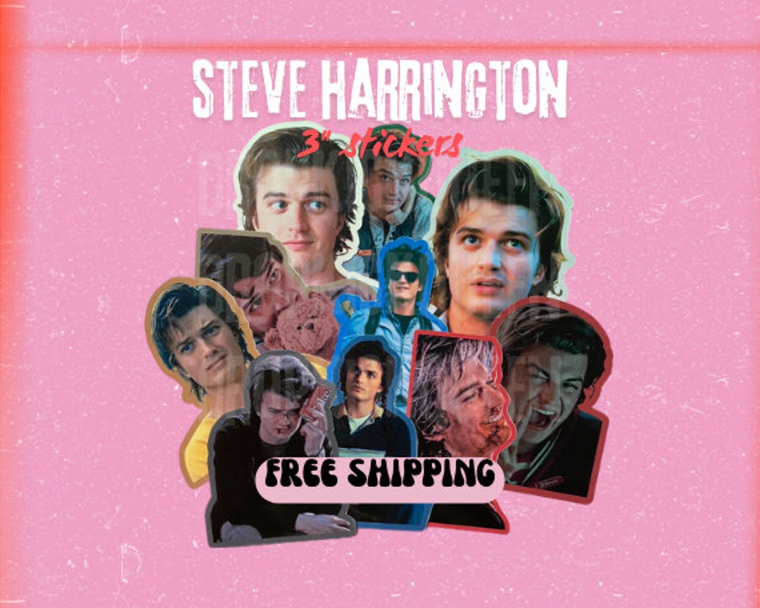 Steve Harrington Sticker Pack Joe Keery Sticker Sticker Matte Sticker ...