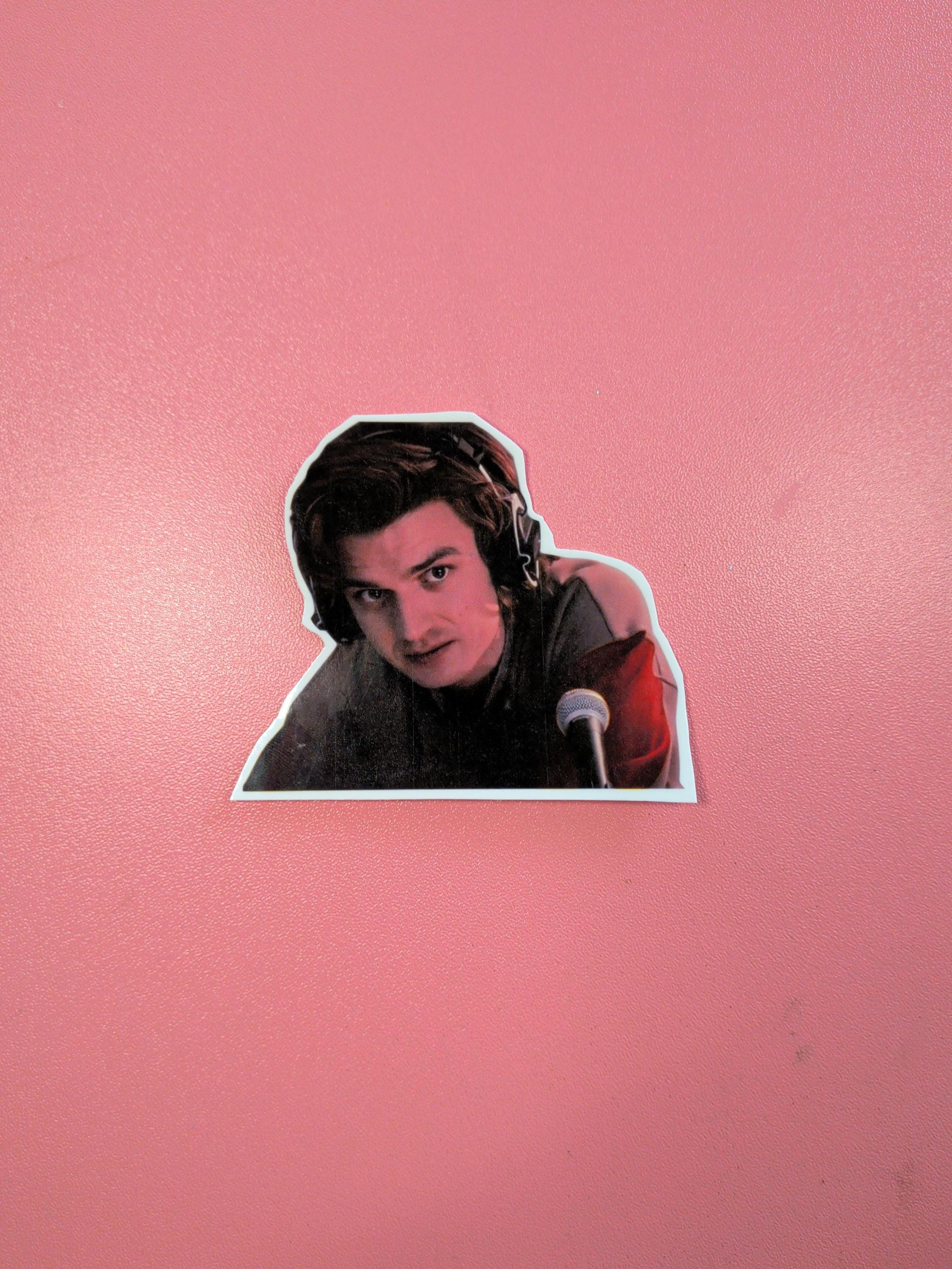 Steve Harrington Sticker Pack: Stranger Things Inspired Vinyl Stickers ...
