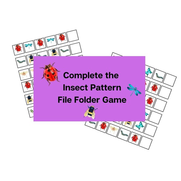 File Folder Game - Etsy