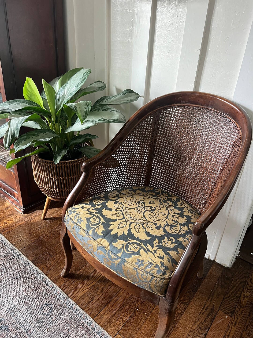 Pair of Vintage Cane Cup Chairs - Etsy