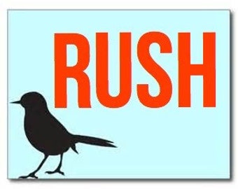 USPS Priority Mail Upgrade RUSH Processing Time, Domestic Addresses Only - Etsy