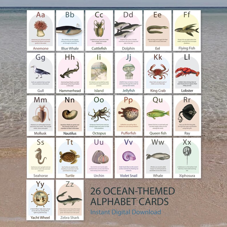 Ocean Alphabet Flashcards, Preschool ABC Learning Activity (digital ...