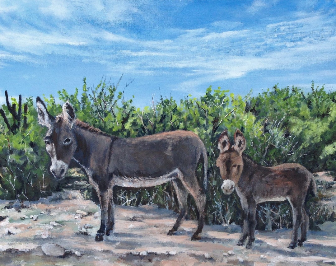 Donkey Art Burros Animal Art Baja Art - Etsy