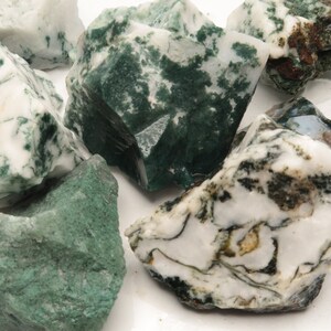 Tree Agate Rough - Natural Tree Agate Rough - Sold by Weight - Etsy