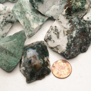 Tree Agate Rough - Natural Tree Agate Rough - Sold by Weight - Etsy