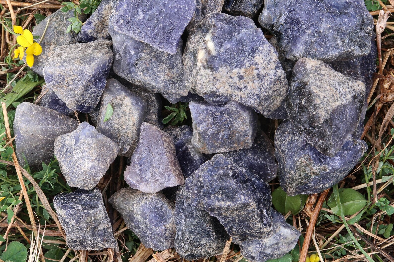 Premium Iolite Rough Rocks - You Choose the Lot Size - Large Stones ...