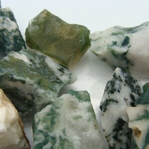 Tree Agate Rough - Natural Tree Agate Rough - Sold by Weight - Etsy