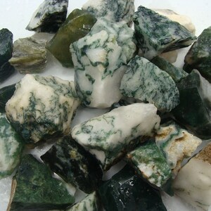 Tree Agate Rough - Natural Tree Agate Rough - Sold by Weight - Etsy