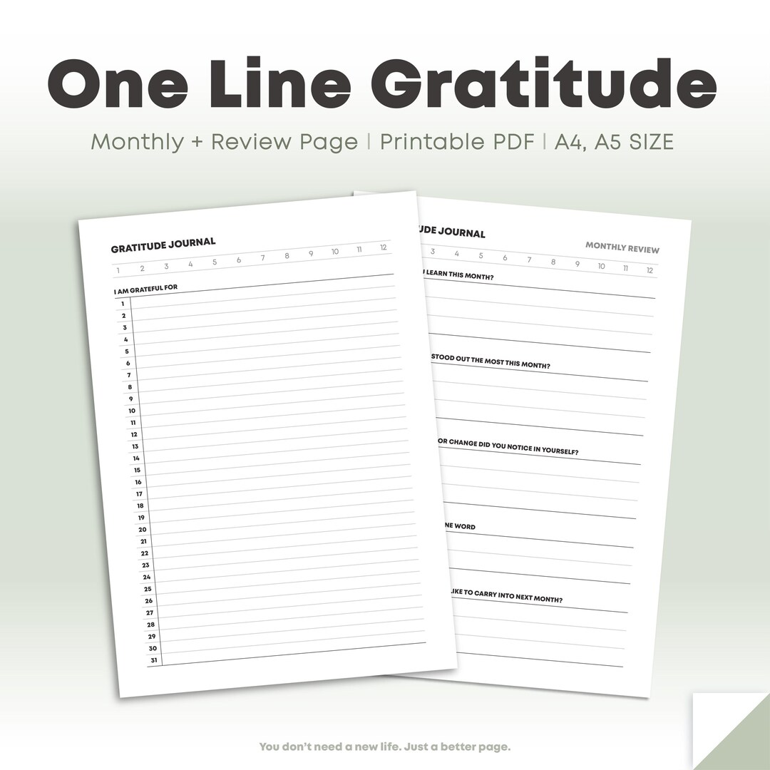 Monthly One Line Gratitude Journal + Monthly Review Template ...