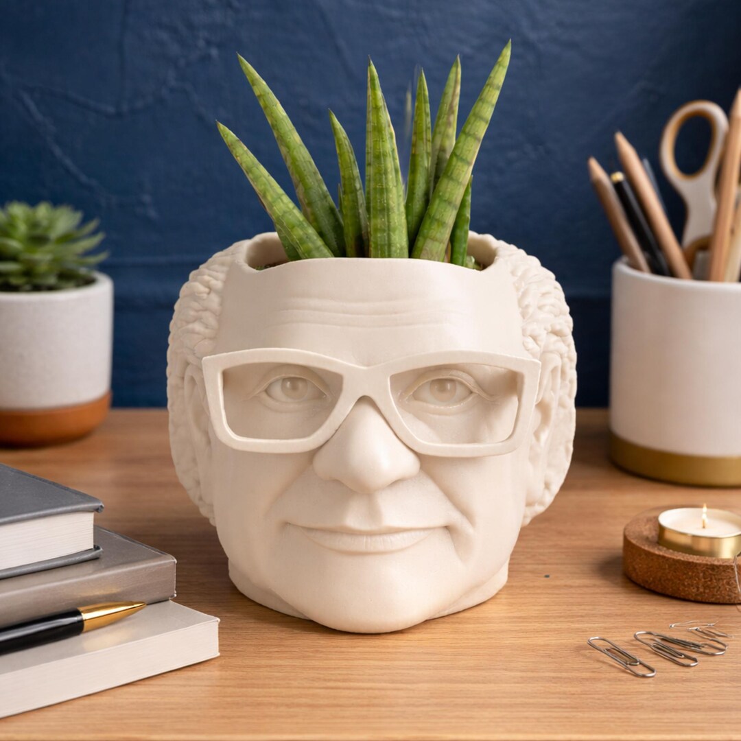 Funny Celebrity Inspired Planter | Meme Face Plant Pot | Desk Succulent ...