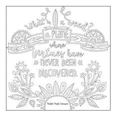 5 Motivational Printable Coloring Pages Zentangle Coloring - Etsy