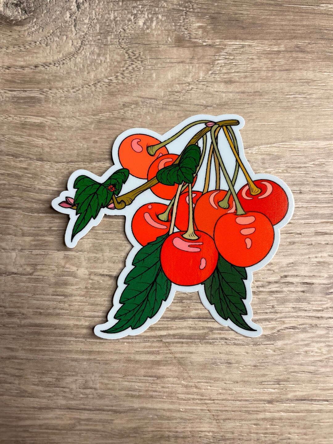 Bundle of Cherries Vinyl Sticker - Etsy