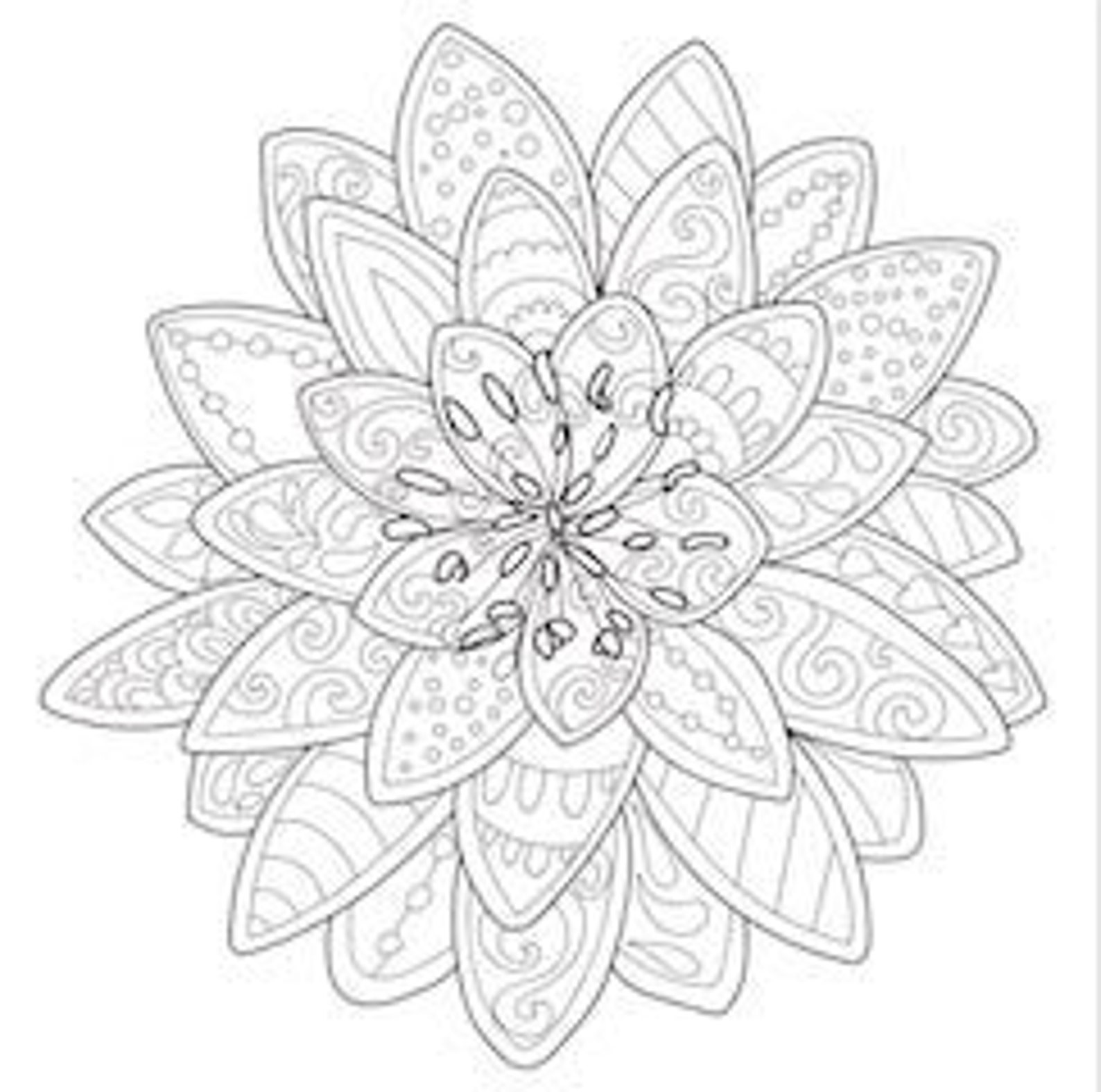 3 Printable Coloring Pages Zentangle Coloring Book | Etsy