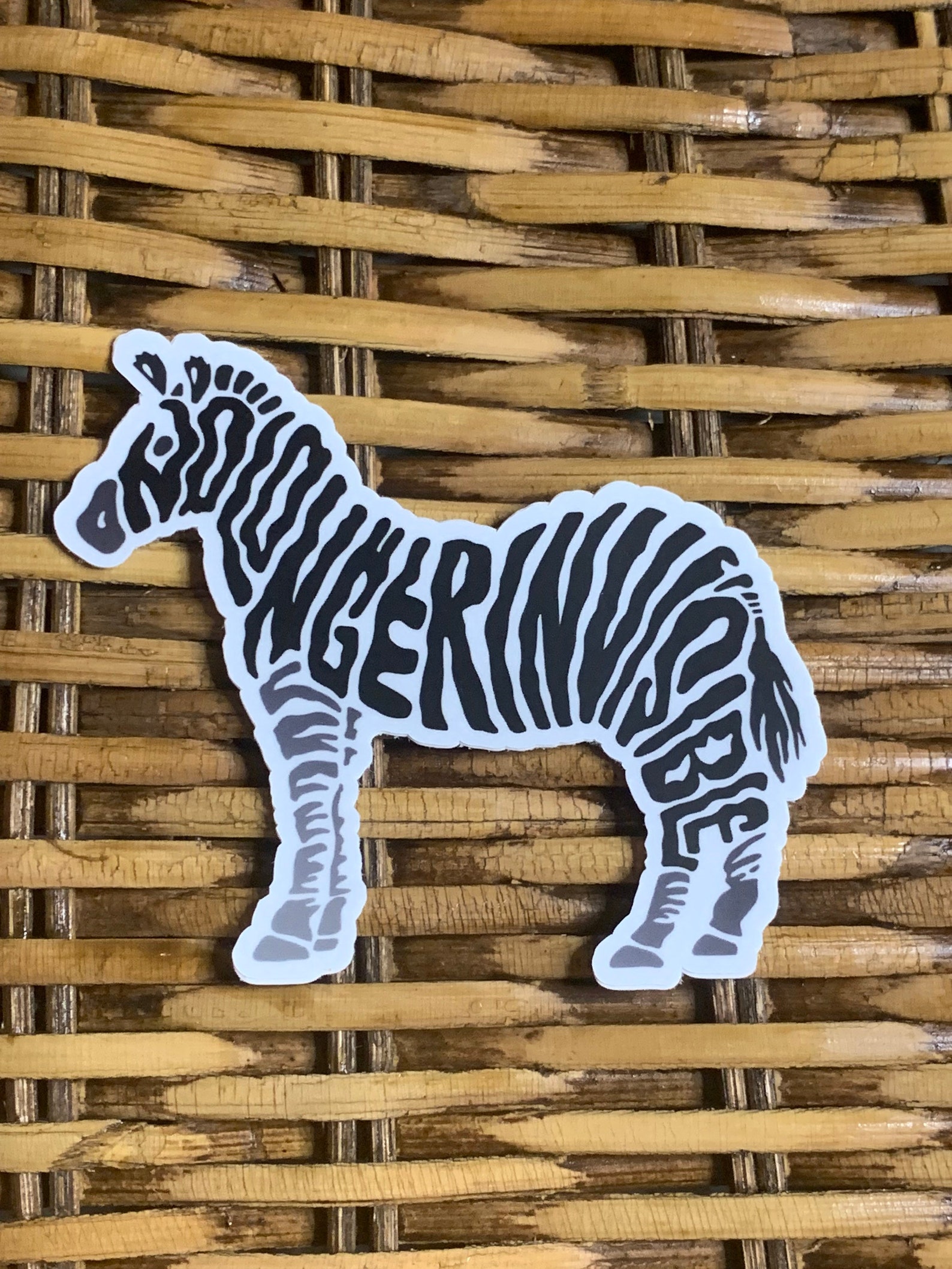 No Longer Invisible Zebra Vinyl Sticker EDS Awareness - Etsy