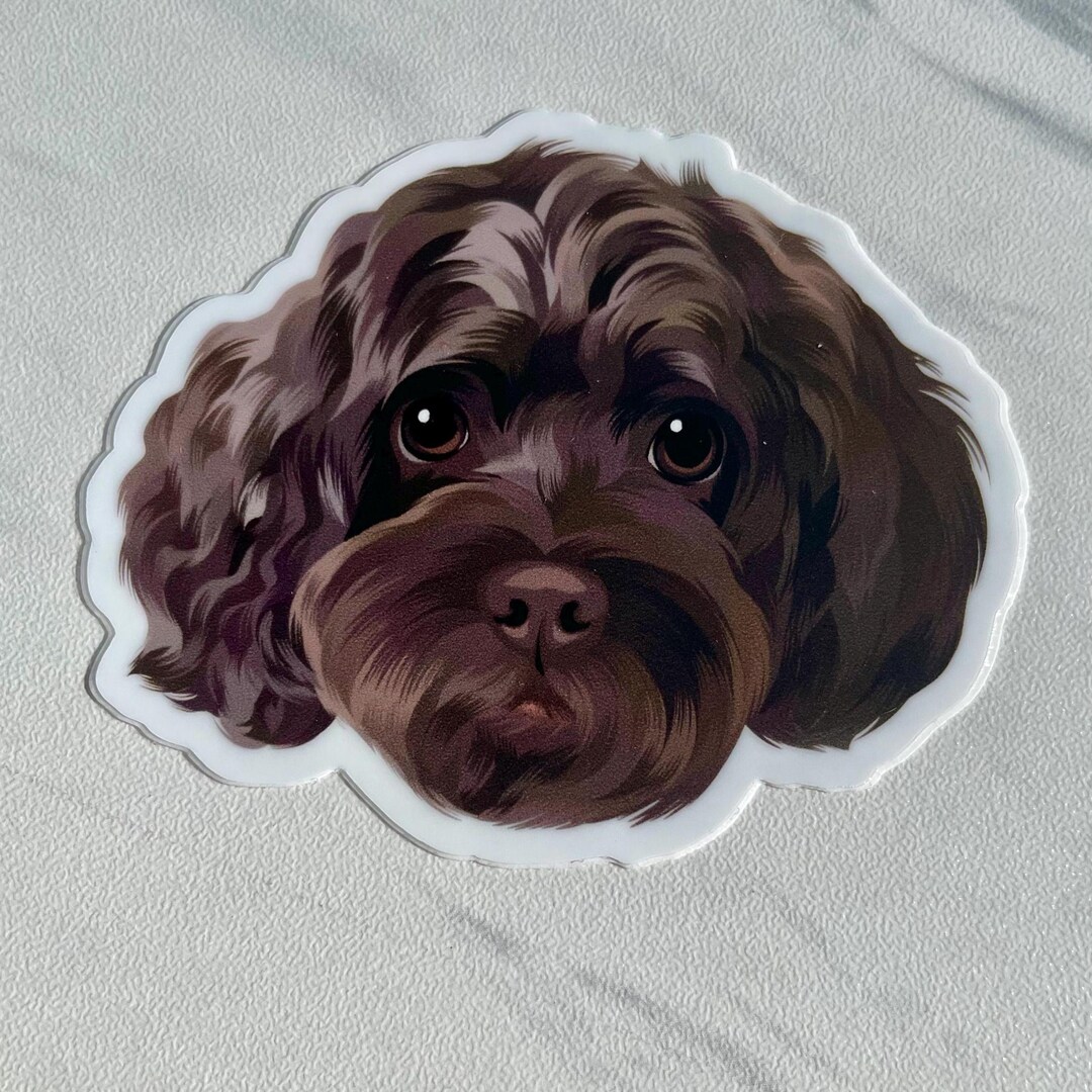 Cockapoo Face Sticker – 3" X 3" Adorable Dog Sticker (2 Pose Options ...