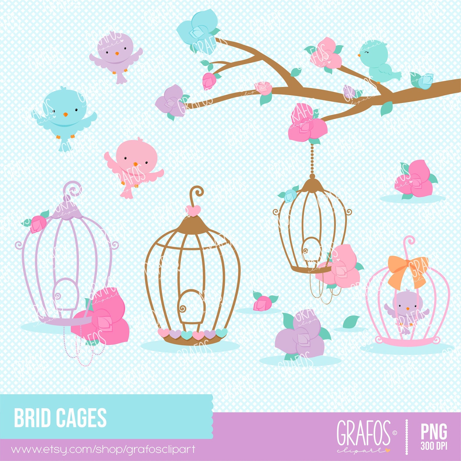 BIRD CAGES Digital Clipart Set Cages Clipart Bird Clipart. - Etsy
