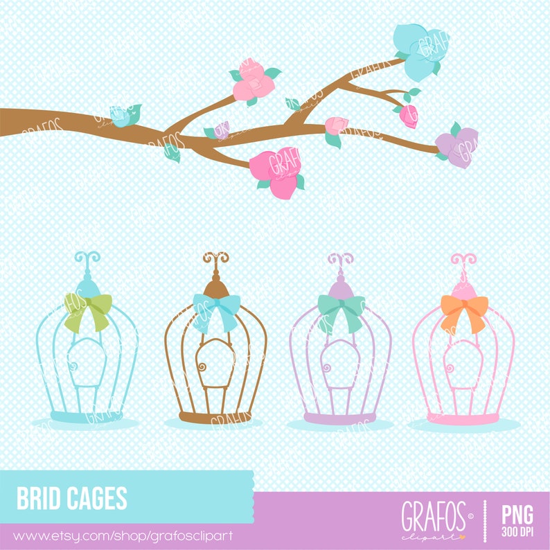 Bird Cages Clipart Set – 35 PNG Graphics (digital Download) - Etsy