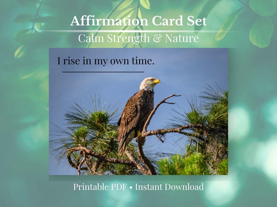Nature Affirmation Cards | Eagle Coastal Wall Art | Calm Strength ...
