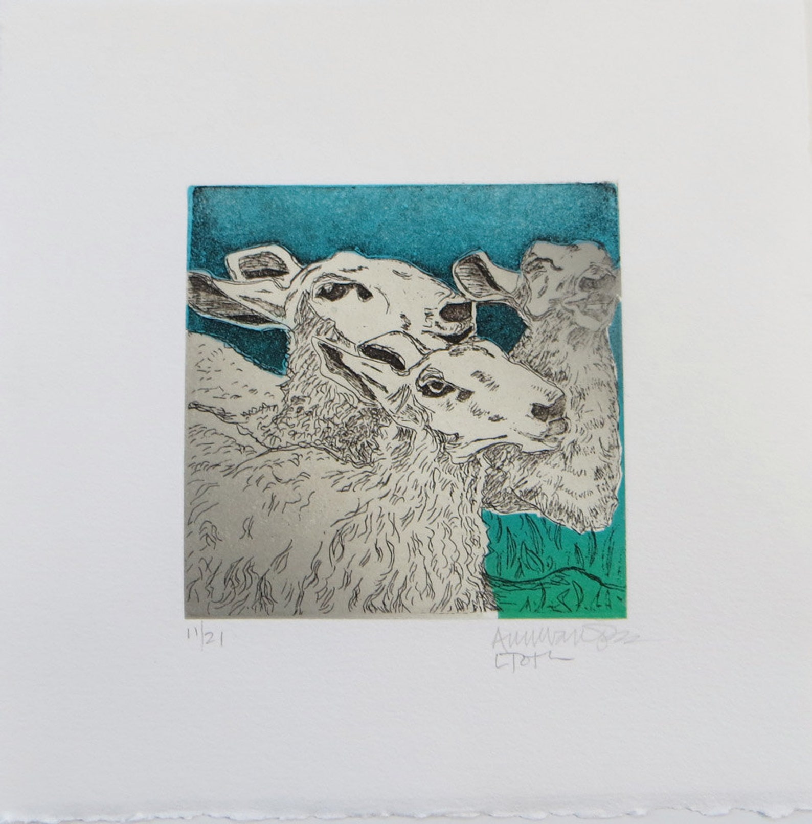 Etching and Woodblock Print: Sheep - Etsy