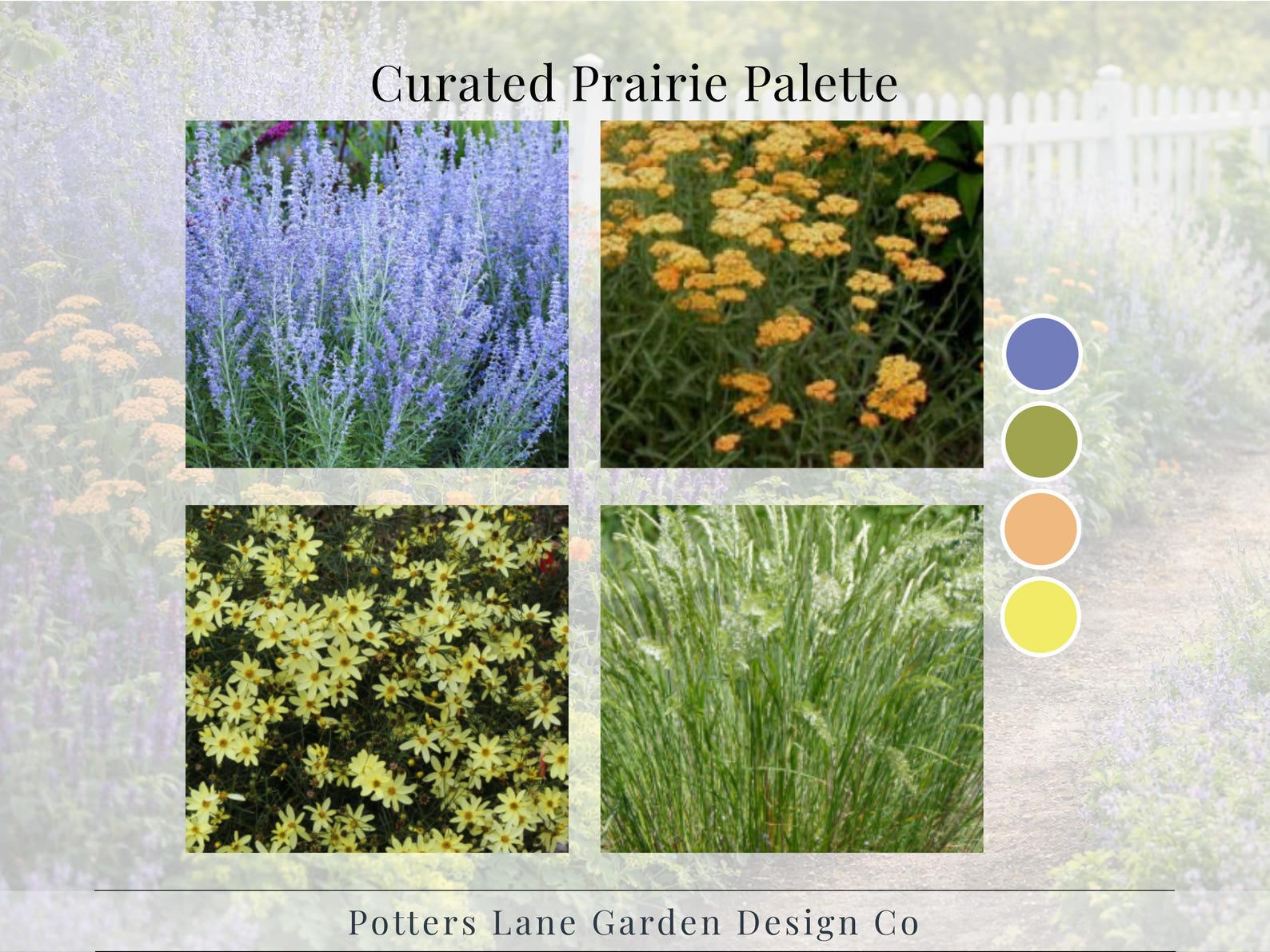 Whispering Prairie Garden Plan – Full Sun Border Design – Zones 4–8 ...
