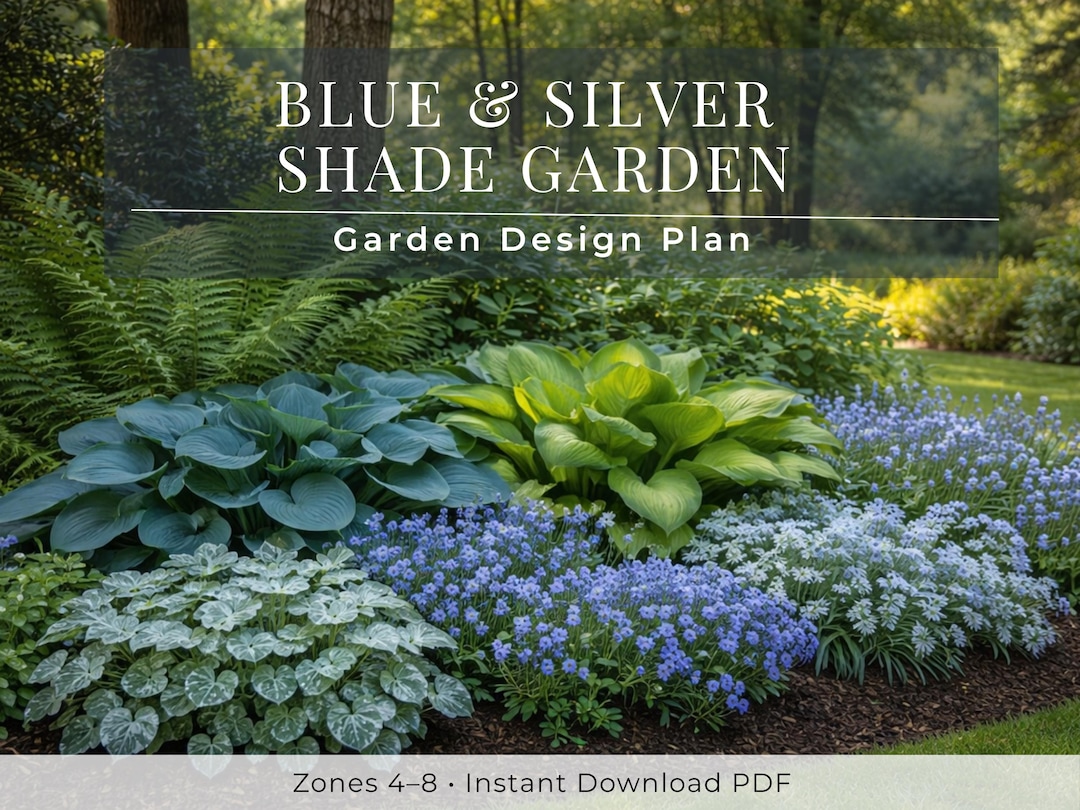 Blue & Silver Shade Garden Plan PDF, Deep Shade Perennial Border Layout ...
