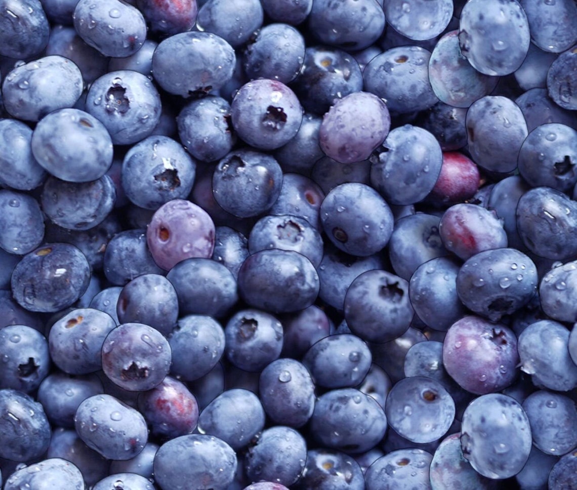 Packed Blueberries Berry Good From Elizabeth's Studio, Blue Packed ...