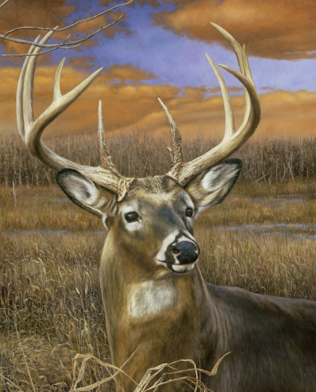 Fall Splendor Deer 35in X 44in Panel, David Textiles Exclusive Prints ...