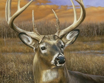Startled Whitetail Buck Deer Panel, 36in X 44in Panel, David Textiles ...