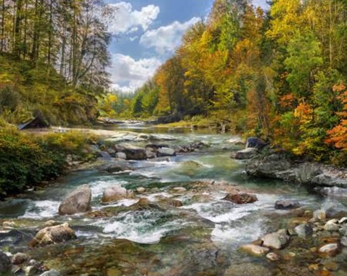 Rusty Rocky River Digital Panel 34.75in X 42.875in Call of the Wild ...