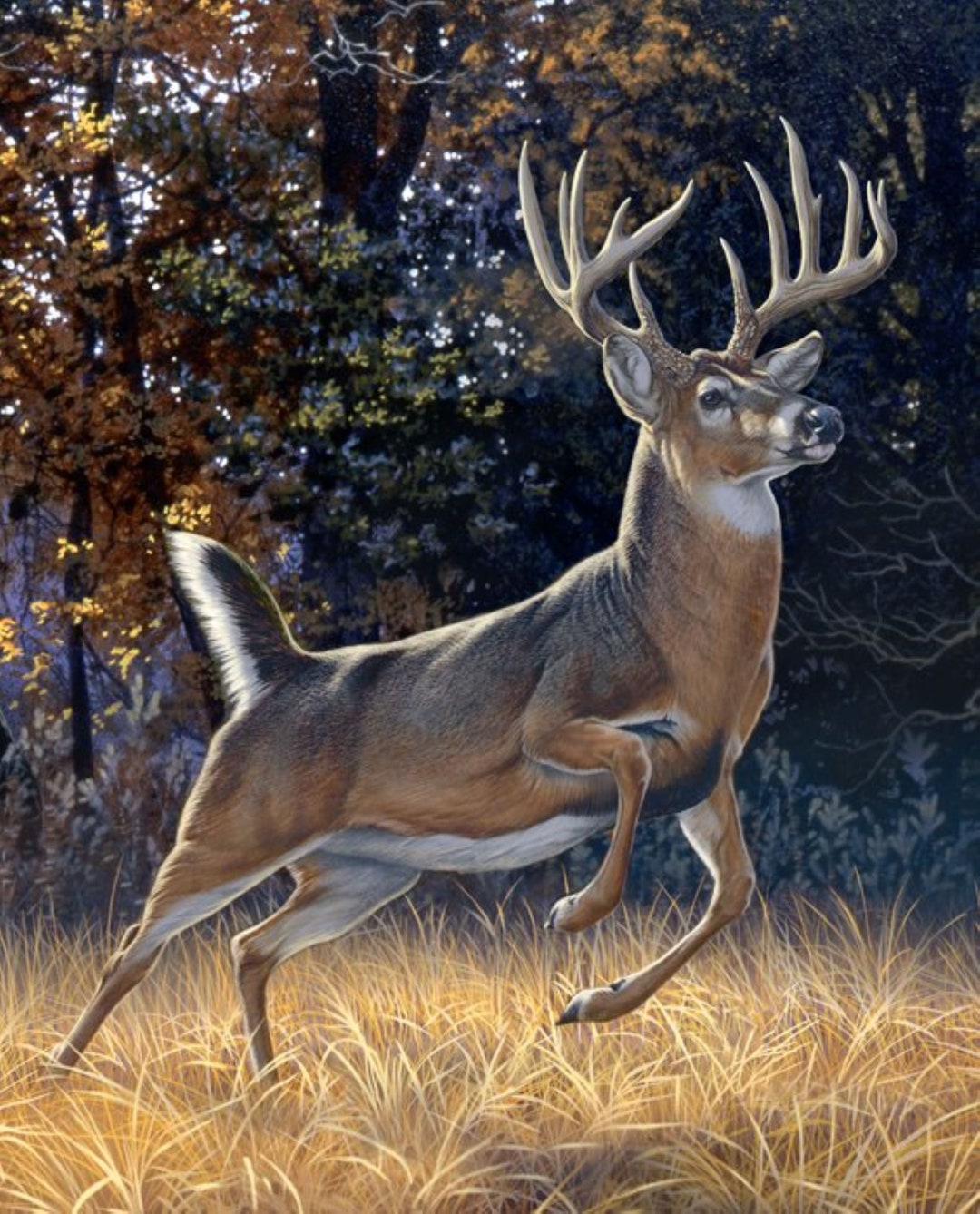 Startled Whitetail Buck Deer Panel, 36in X 44in Panel, David Textiles ...