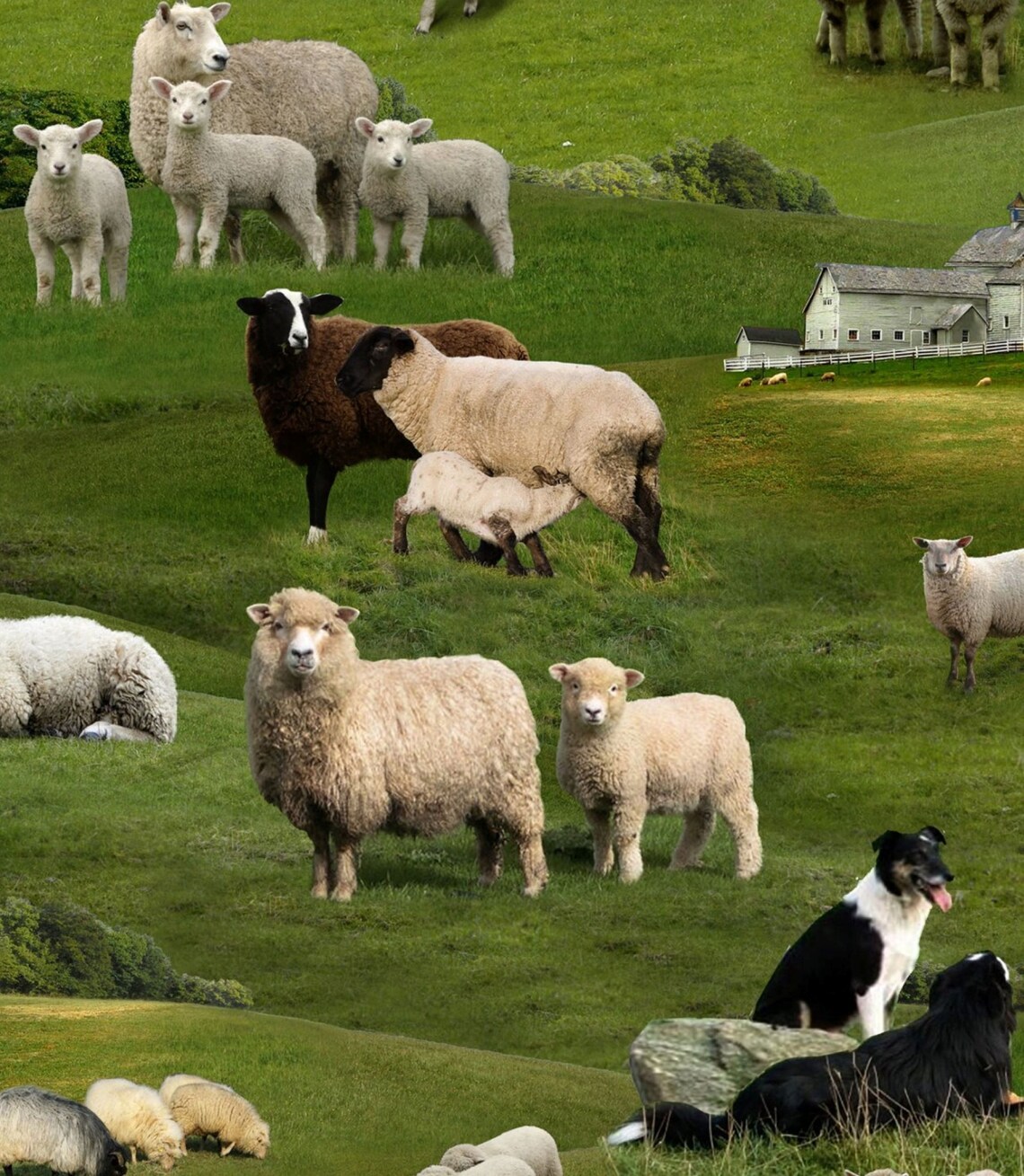 Sheep Farm Animals From Elizabeth's Studio - Etsy