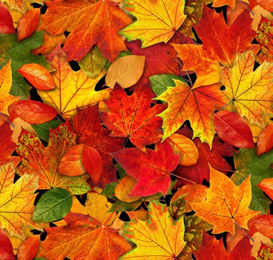 Landscape Medley Autumn Leaves Elizabeth's Studios Cotton Sewing Fabric ...