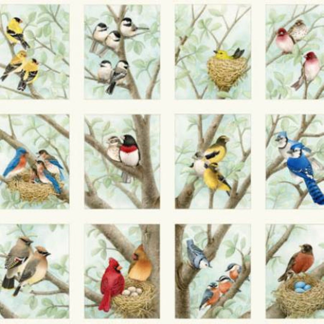 Beautiful Birds Cream Birds Panel 24in X 44in by Tracy Lizotte for ...
