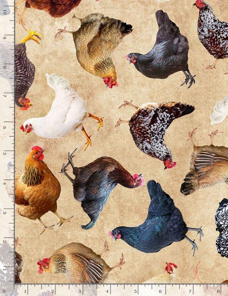 Tossed Hens Natural by Timeless Treasures Hen House Collection - Etsy