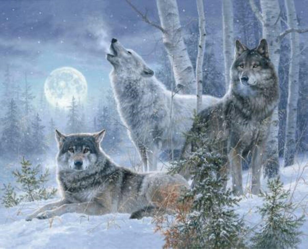 Winter Wolves 36in X 43in Panel Under the Moonlight Collection, Wolf ...