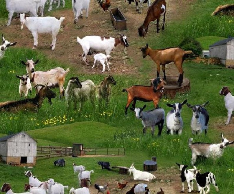 Goats Realistic Packed Farm Animals Scene Elizabeth's Studio - Etsy