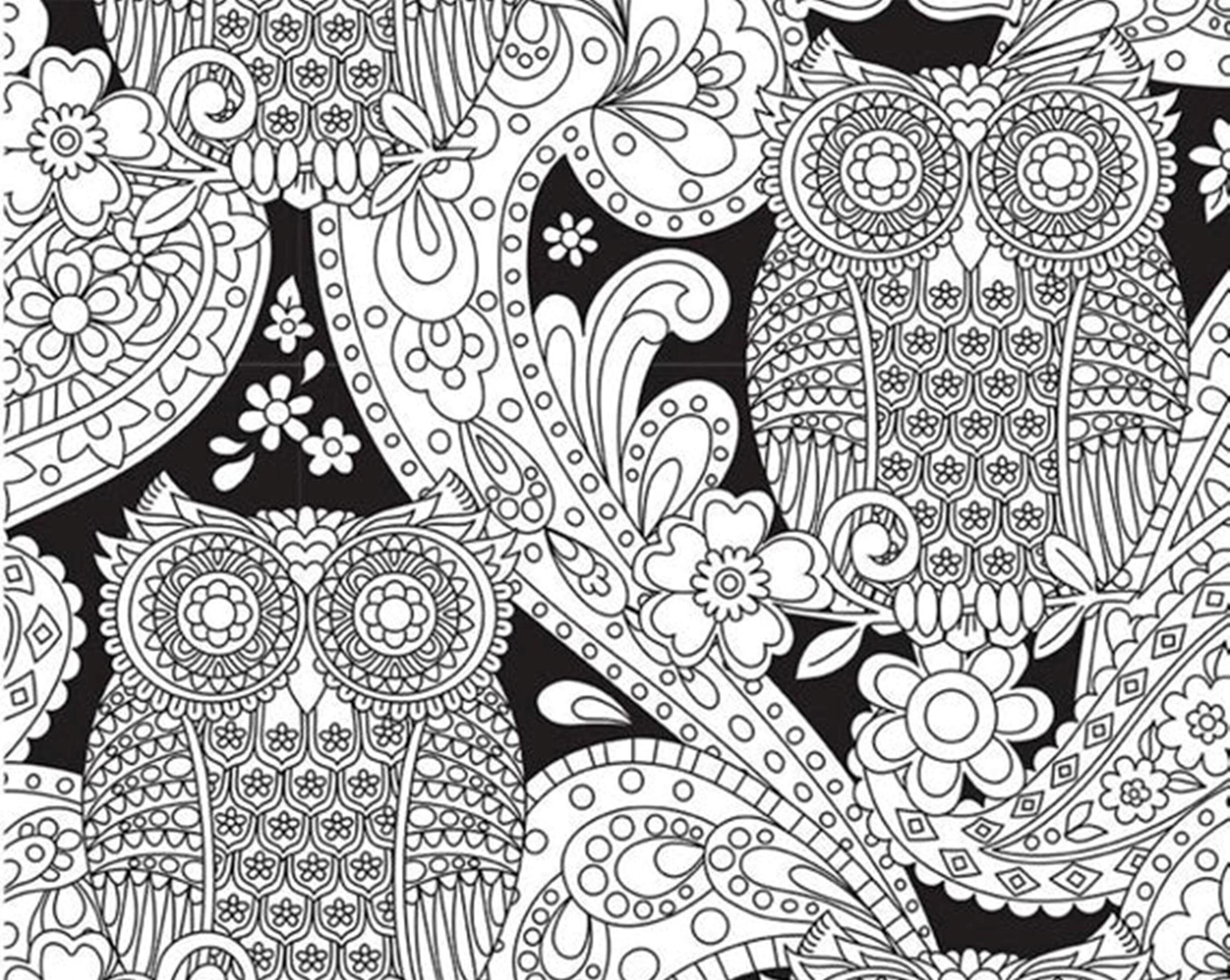 Black Color Me What a Hoot by Hayley Crouse for Michael Miller - Etsy